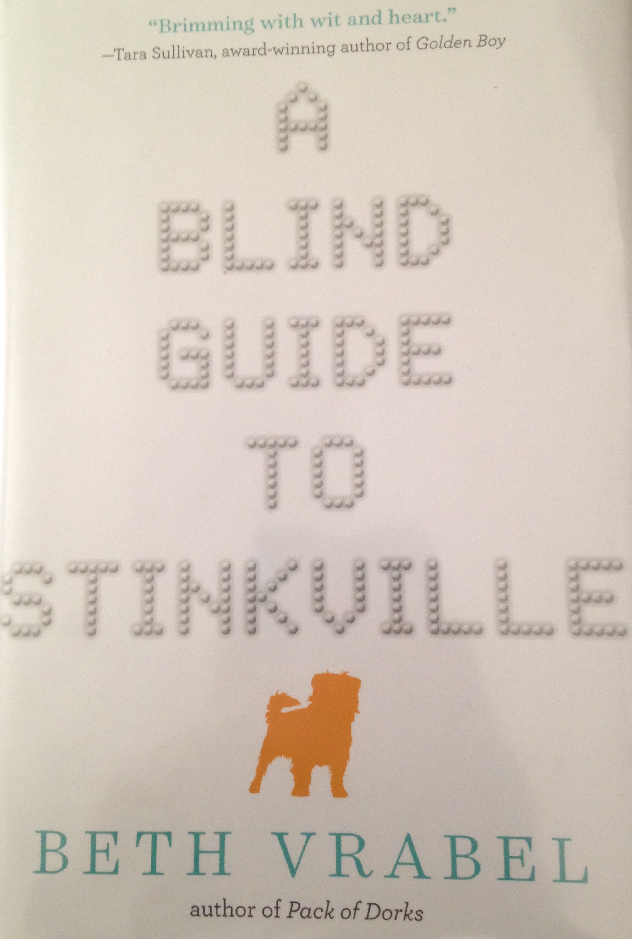 A Blind Guide to Stinkville | Literature Review Blog, May 17