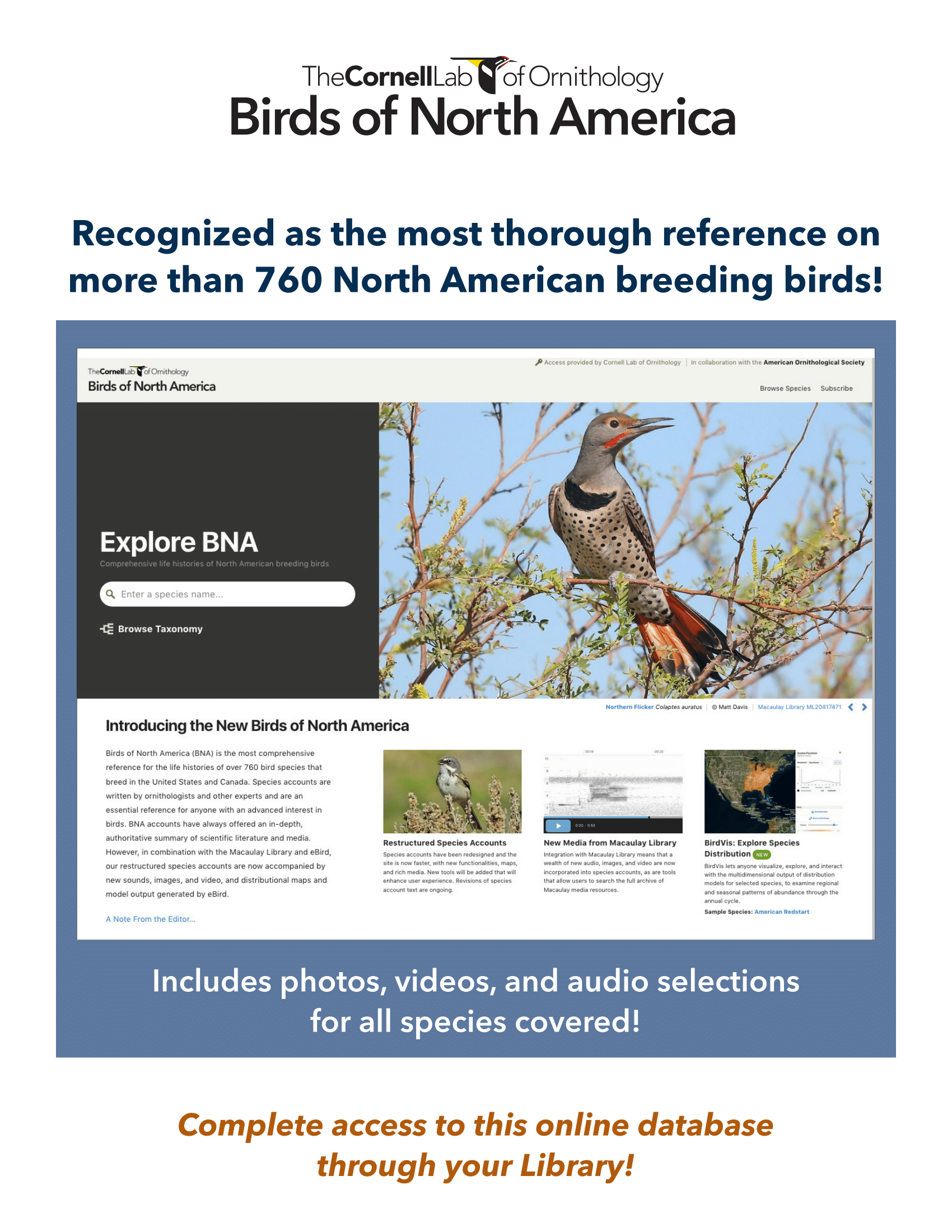 A Database for the Birds | Ames Library News