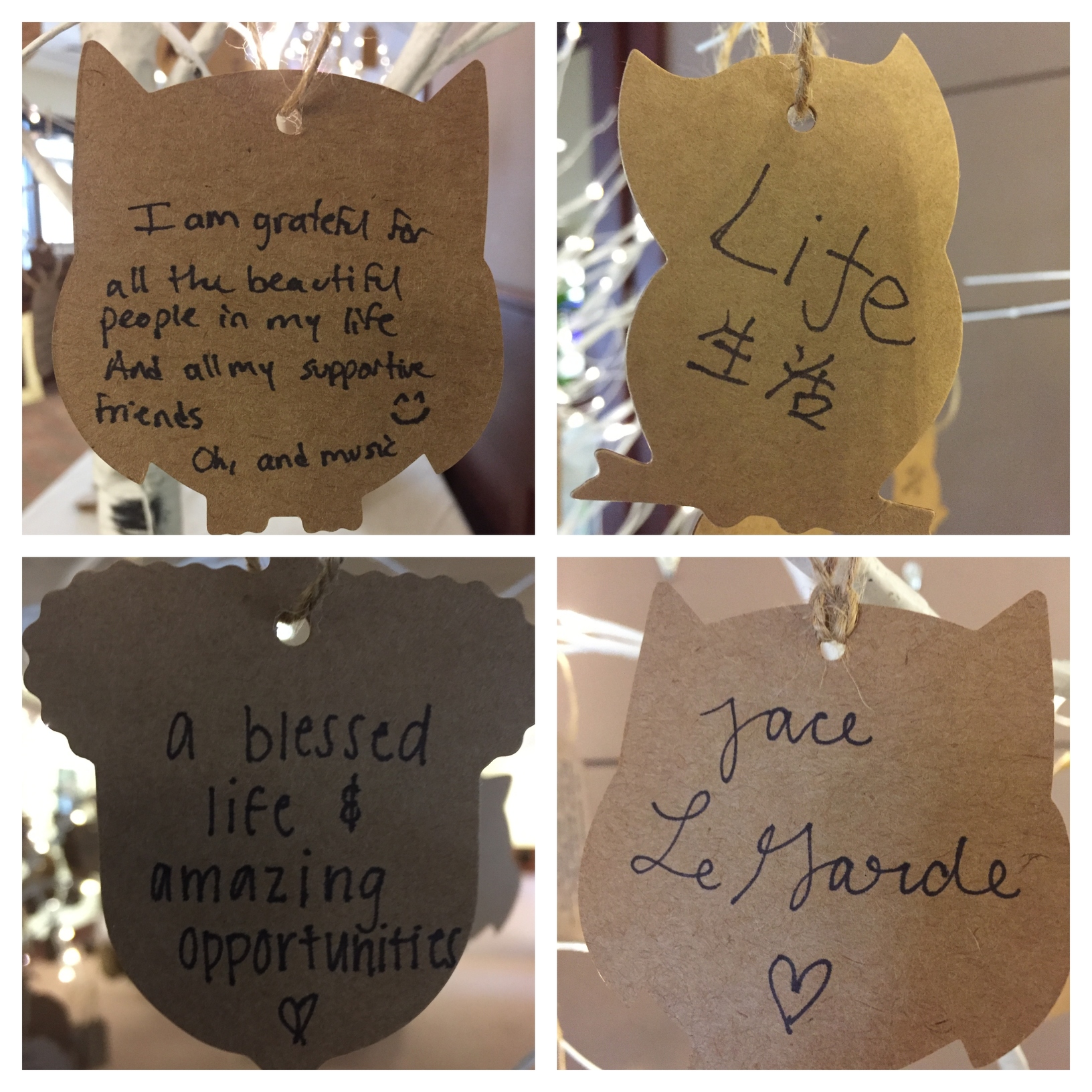 What Are You Thankful For, IWU? | Ames Library News