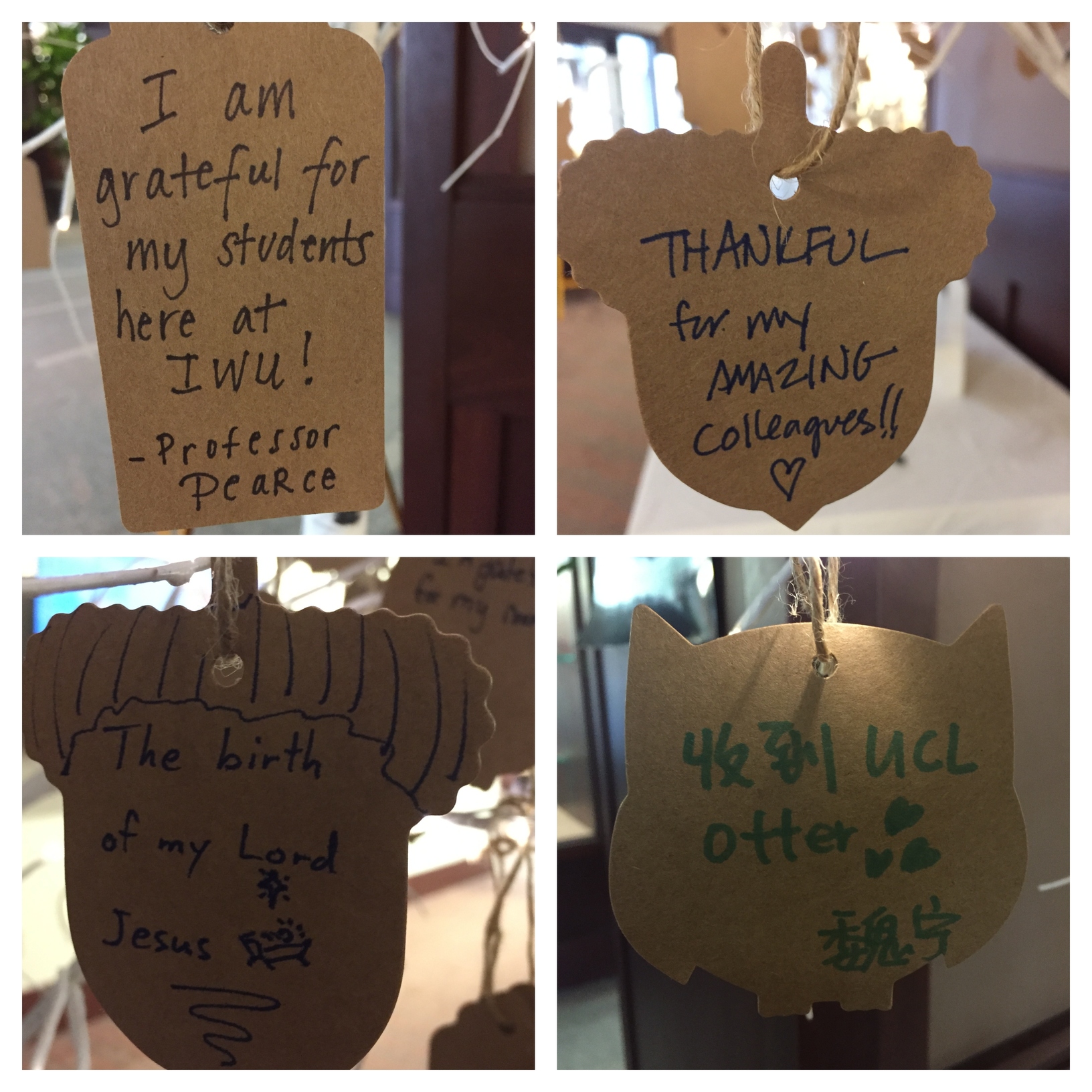 What Are You Thankful For, IWU? | Ames Library News